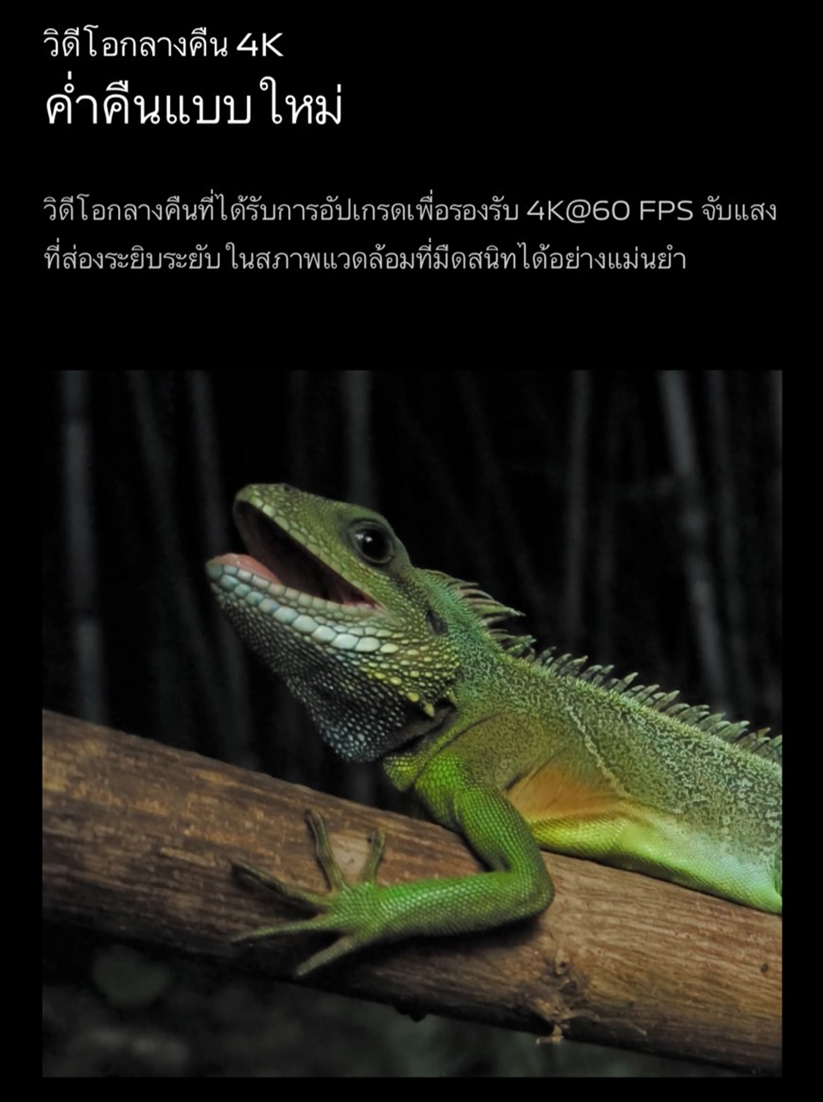 X100 Pro 5G